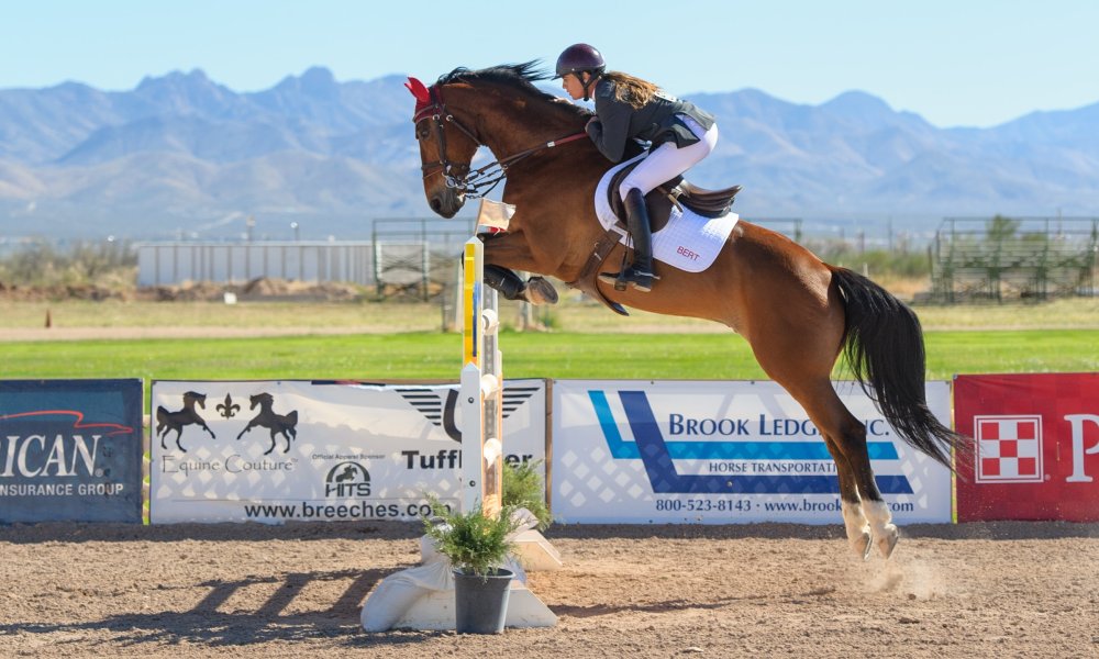 Kraftfutter Pferd Test 2024 - der ausführliche Ratgeber